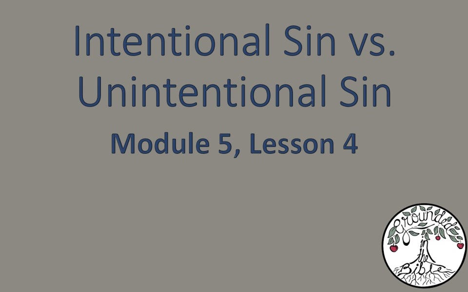 Intentional Sin vs. Unintentional Sin - by Karen Hoffman
