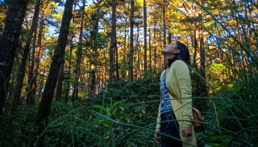 Interview: Gretchen Filart