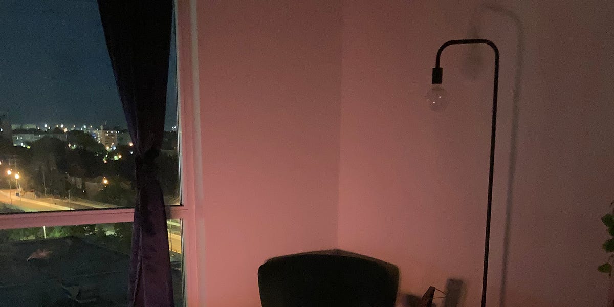 The Saviour - Haley’s Substack