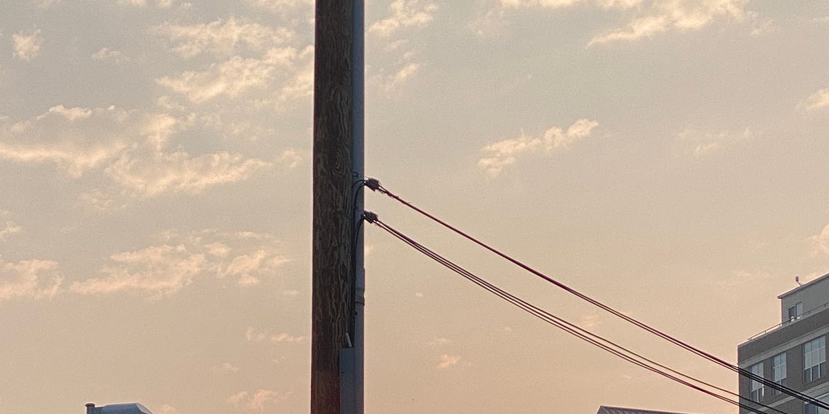 Women, now. - by Idle Lips - Reverence Online