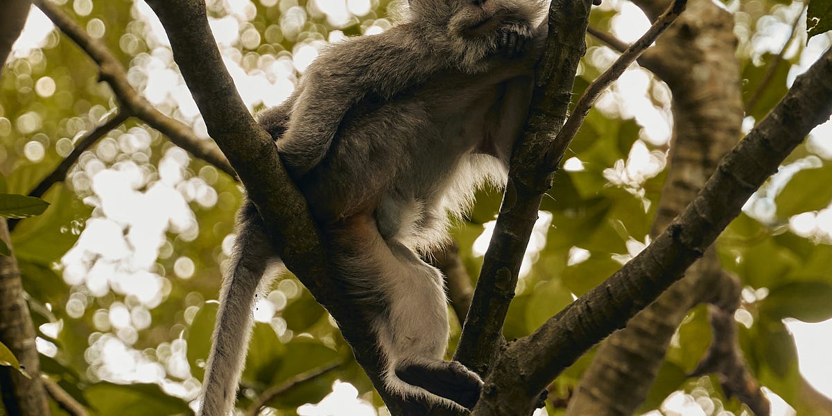 Resting the bones - Gathering our bones, with Tina B