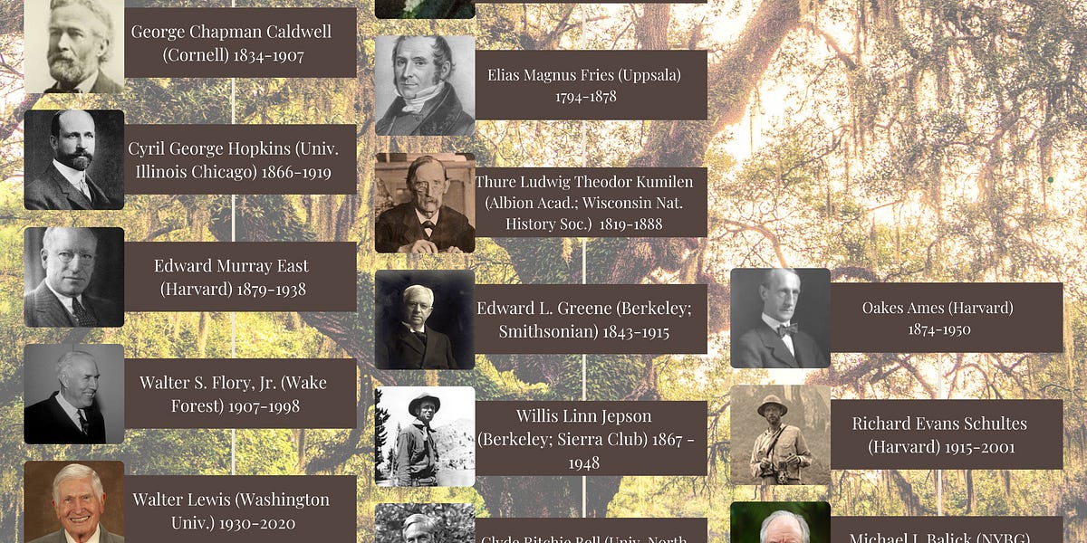 Remarks on my academic family tree - by Cassandra Quave