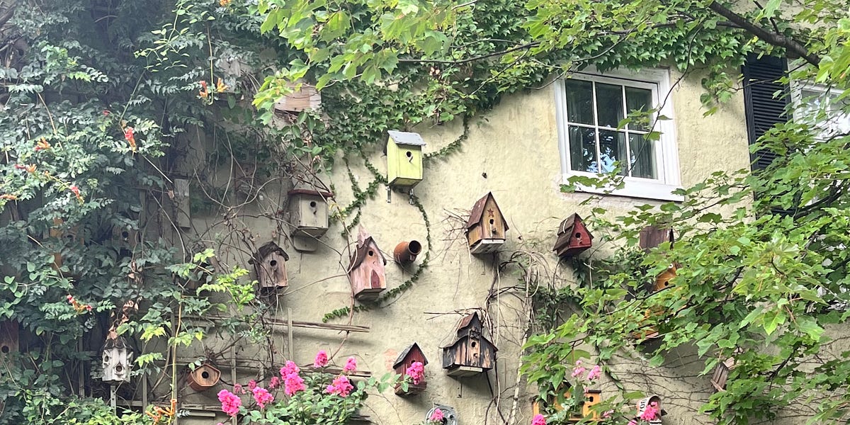 Meet the Family Behind Fitler Square’s Iconic “Birdhouse” Home