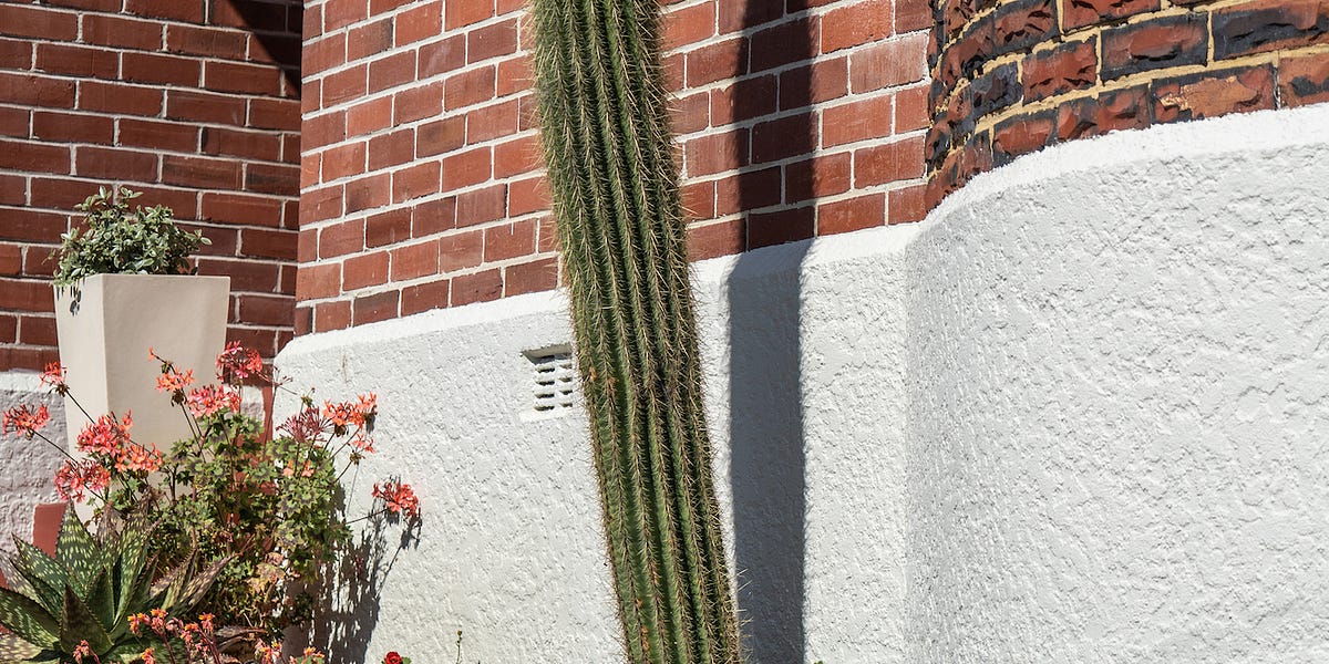 4. Dunedin Suburbs - by Mark McGuire - Street Photography