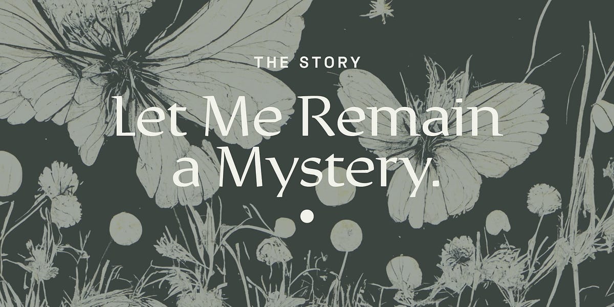 Let Me Remain a Mystery. - by Klara Foldys