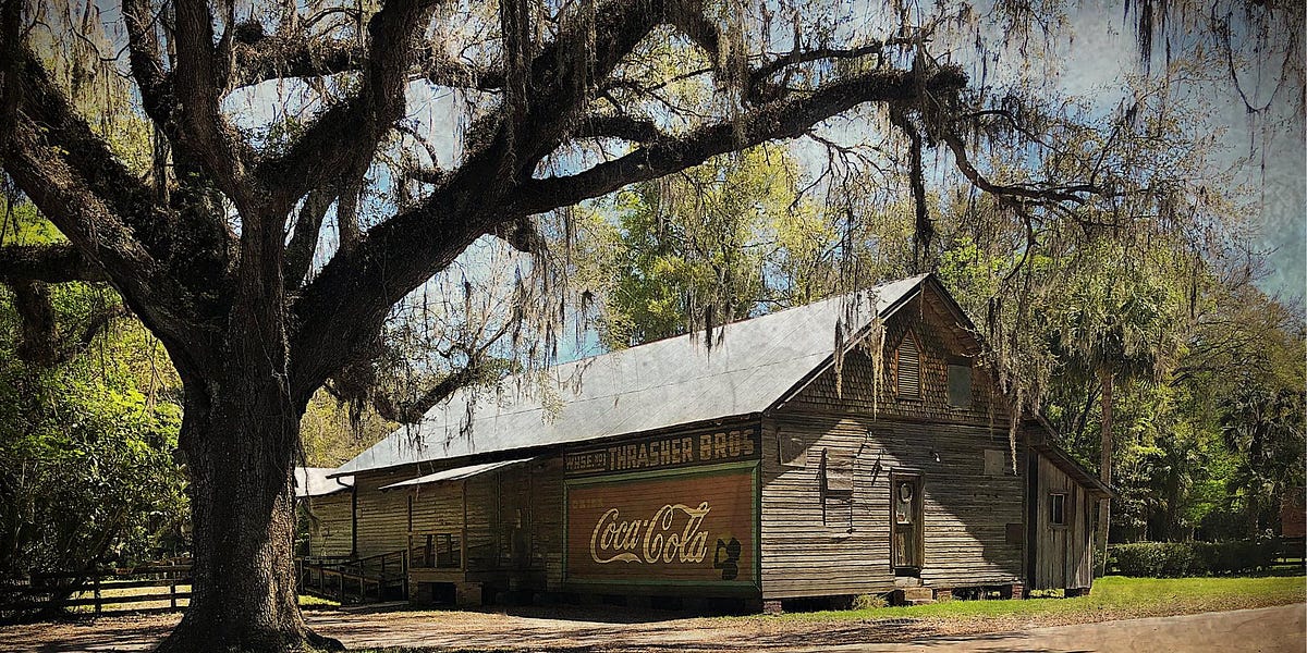 Florida Throwback - by Beth Yarbrough - Southern Voice