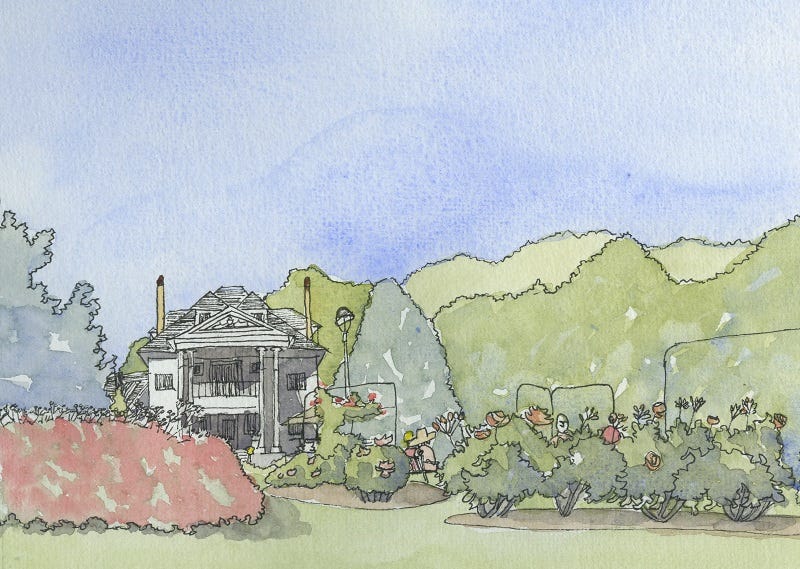 Beginner Drawing Kit - by Logan Bingle - Sketchy Traveler