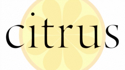 Omake Gif Anime - citrus - Episode 6 - Harumi Messes with Yuzu