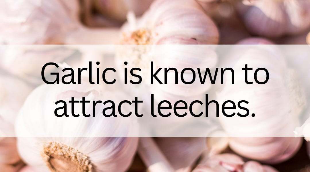 Garlic is known to attract leeches.