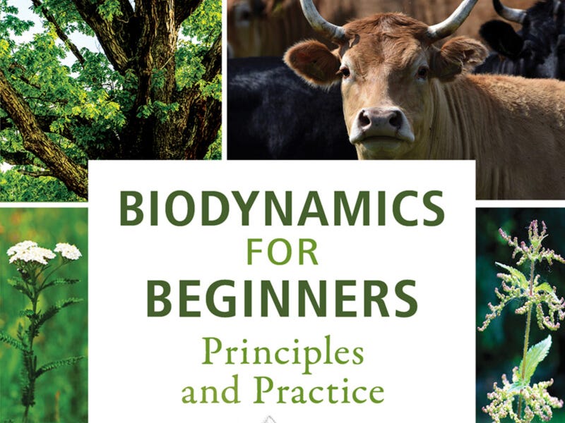 New Book Release: Biodynamics for Beginners