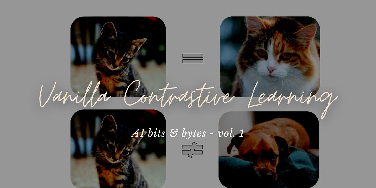 Unleashing the Power of Ultrasound Videos: A Deep Dive into ...