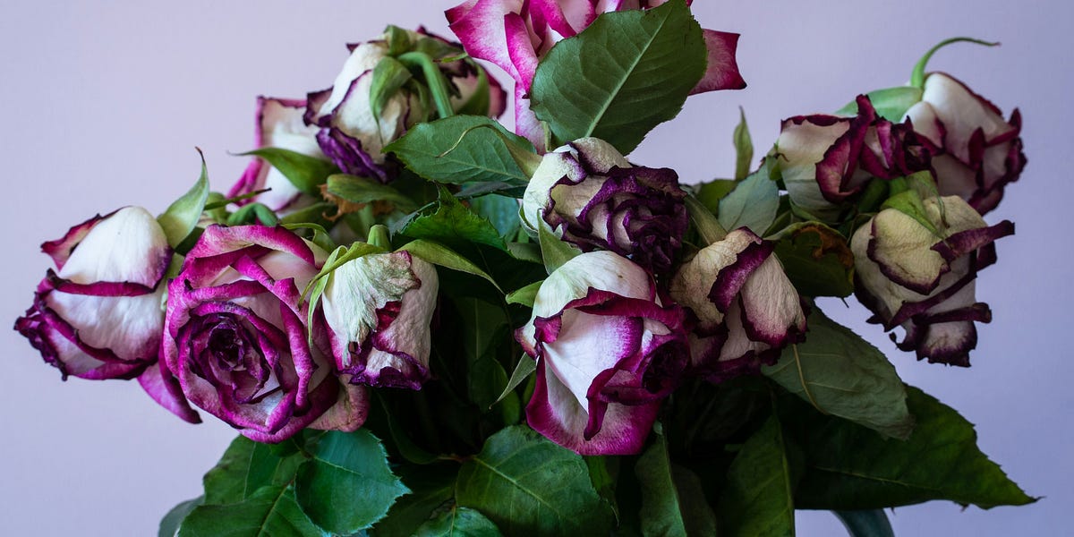 Grieving Losses - by felice rhiannon - ElderSpirit