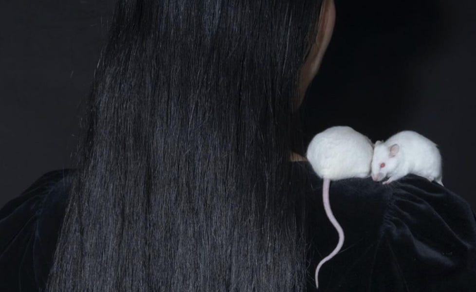 4/8/2024: An Interview With Lina Sun Park