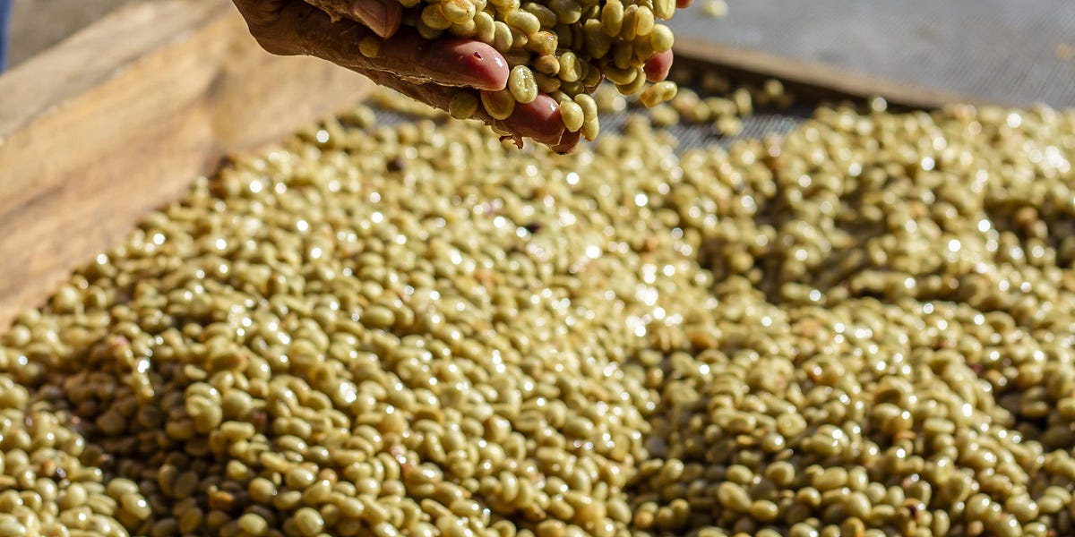 La paleta de colores del café - by Editores de café