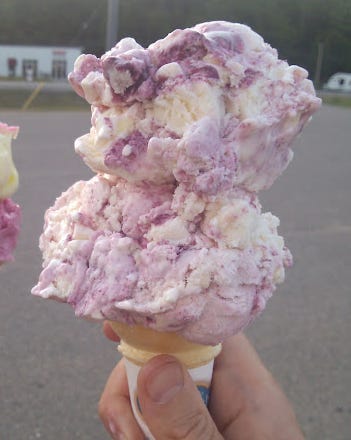 Black Raspberry Thunder by Kawartha Dairy - by Neil Shooter