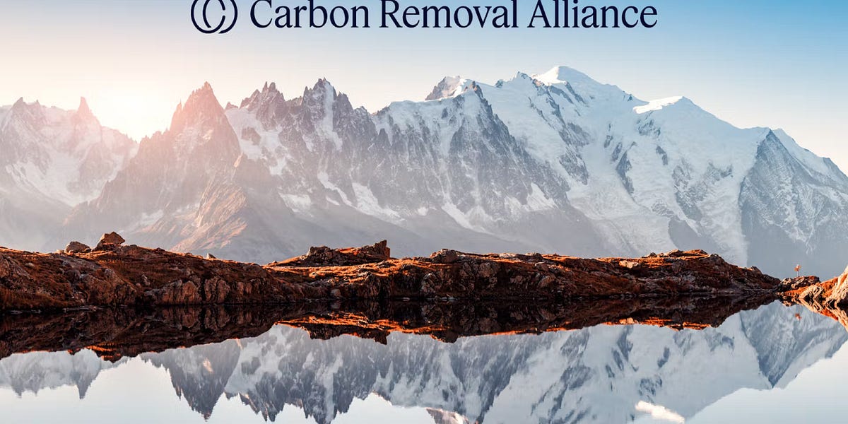 #3. Carbon Removal Alliance: Closing the CDR advocacy gap
