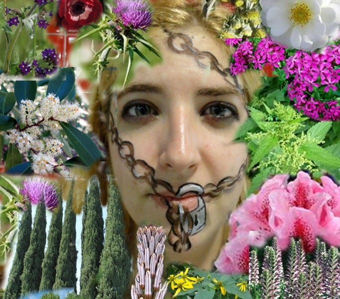 The Garden Of Love - by Cedar Sanderson - Cedar’s Substack