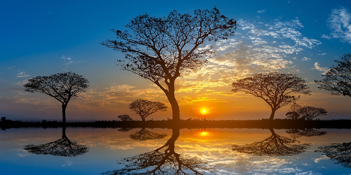 Transcend Trauma- Transformation and Restoration