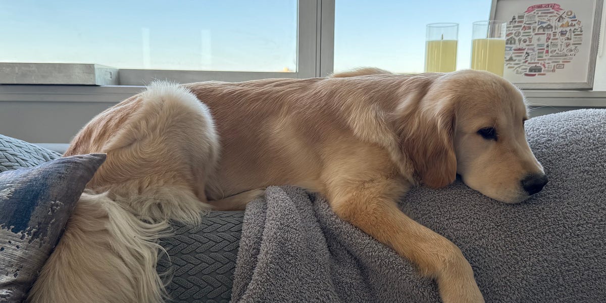 US Markets - First Look - by Derek Wallis