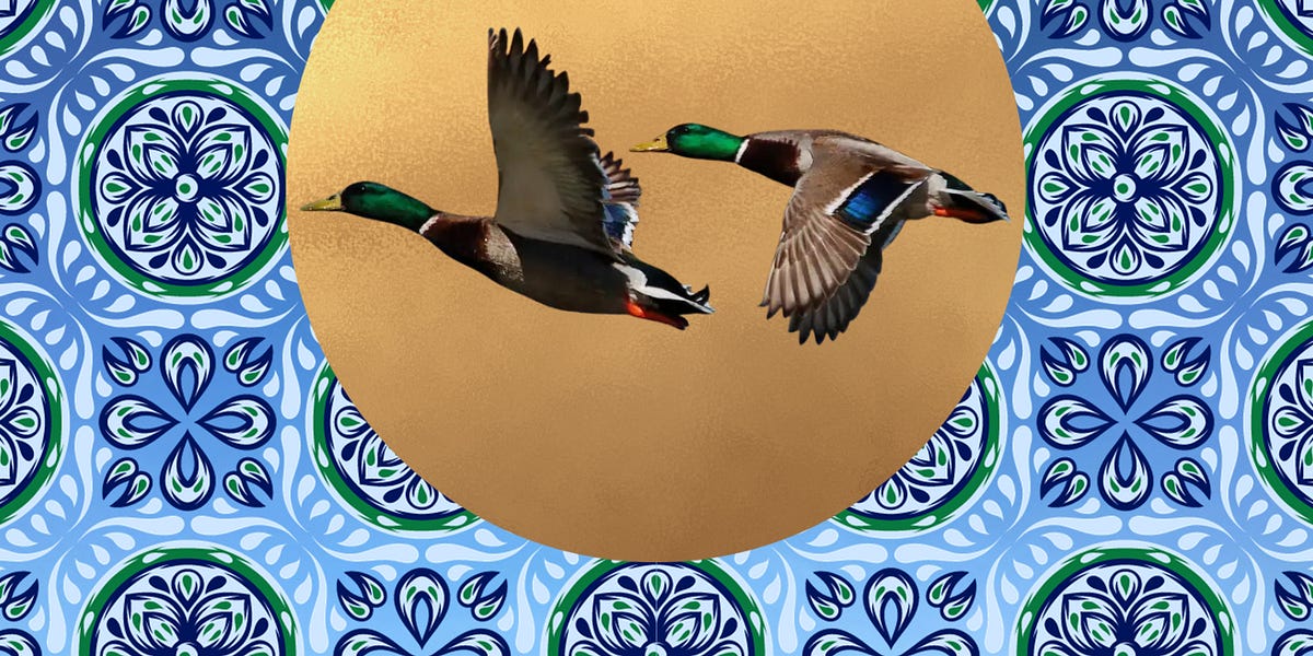 Mallard - by Wietske Merison - Gift from the Heavens