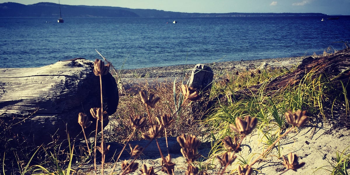 Now Harvesting: September/October - by Kristy Bredin