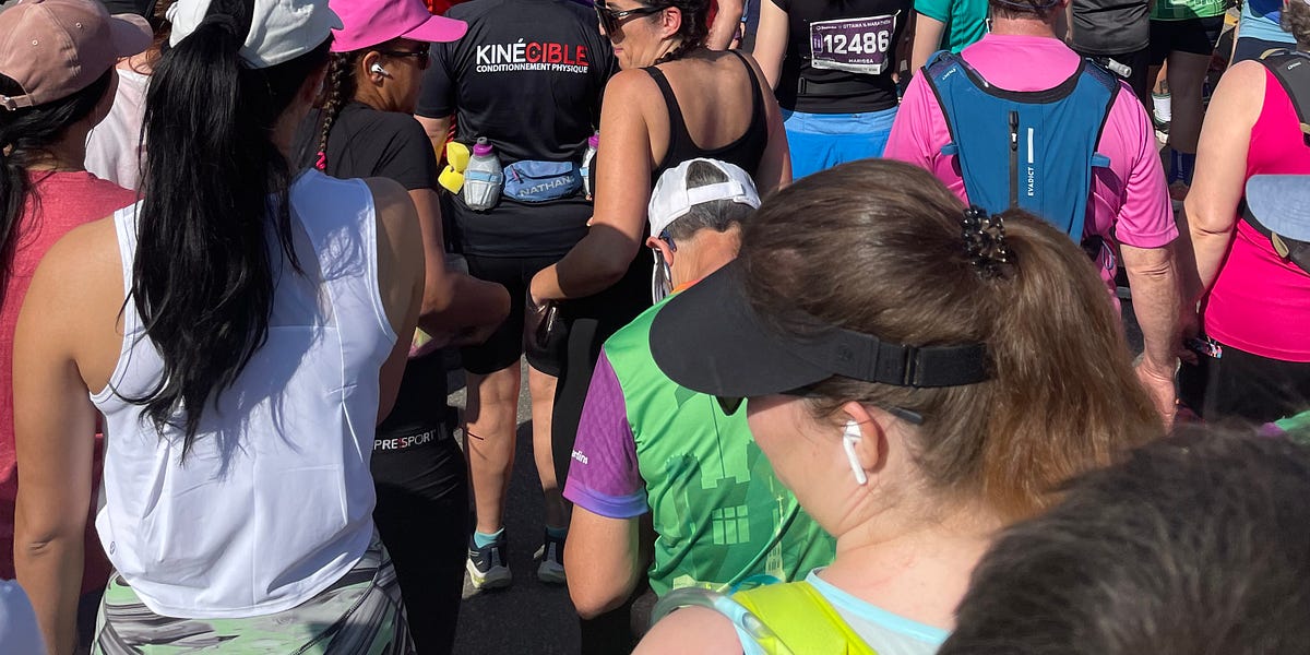 The Long Run - Matt Gower’s Brain on Baseball