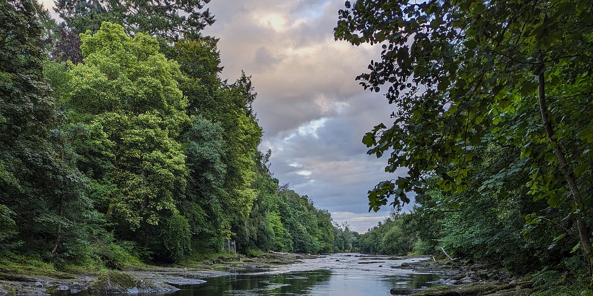 water charm - Selkie Grove
