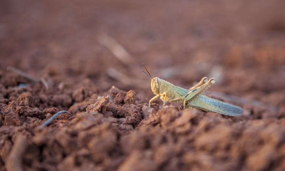 ScienceDaily: All - June 19, 2024 - ScienceDaily Newsletter