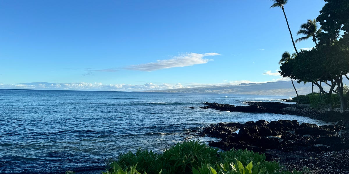 Steady - Through the Fog, by Elliot Kirschner