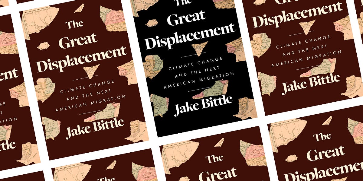 Book #23: The Great Displacement - by Jess Schreibstein