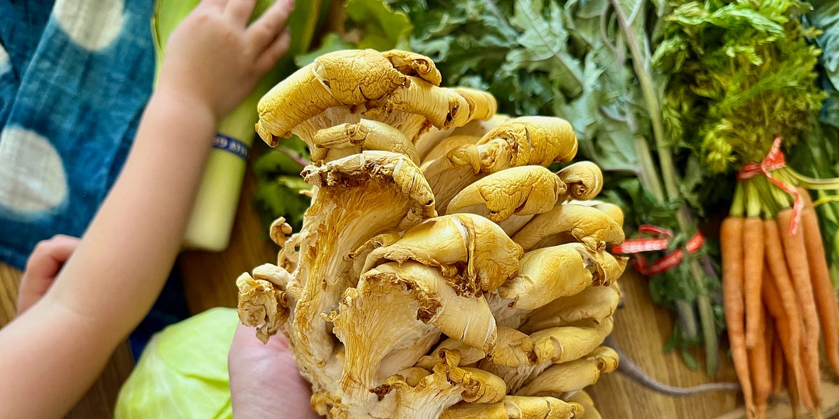 The World's Ending, I'm Still Writing - by Devin Kate Pope