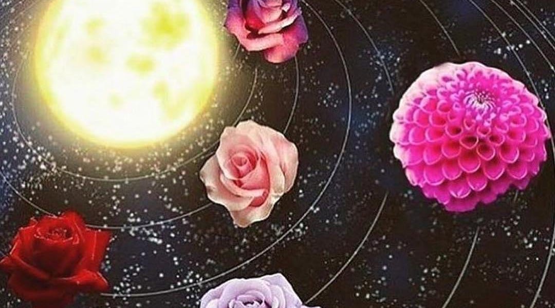 Goddess Codes - by Kristina Wingeier