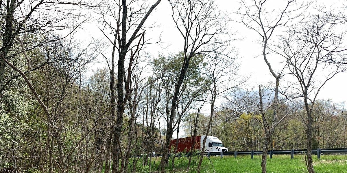 Lost highway - by Miles Howard - Mind the Moss