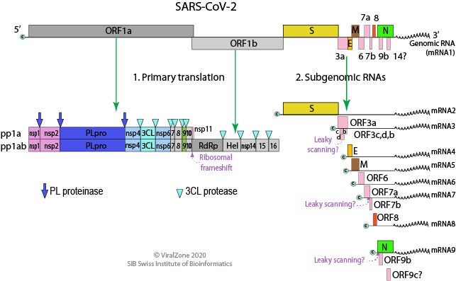 Συναρμολόγηση του Γονιδιώματος (Genome Assembly) του SARS-CoV-2 ...