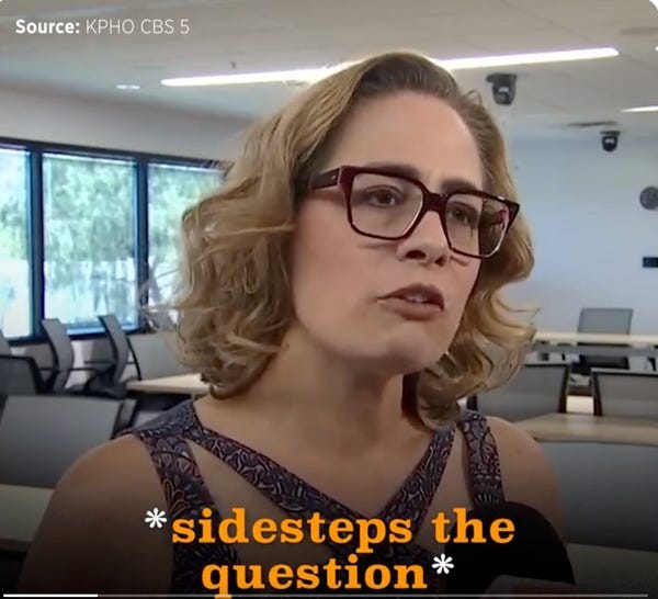 Kyrsten Sinema's Totally Real Not At All Made Up Perfect Plan For ...