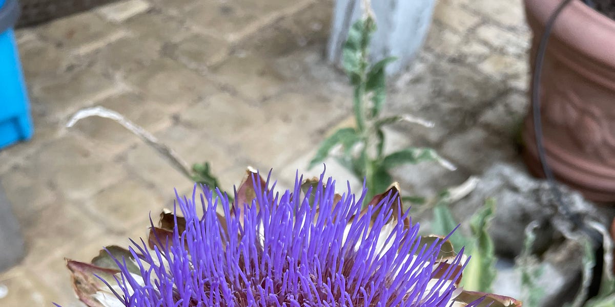 Garden Surprise - by Martini Glambassador