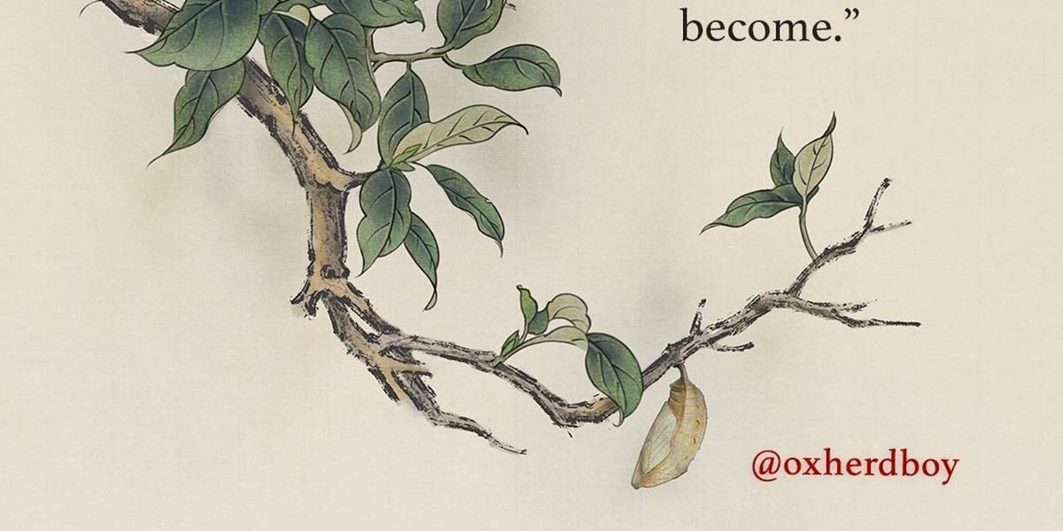 Unsubscribe: ALL - by Sonni Abatta - Sonni’s Substack