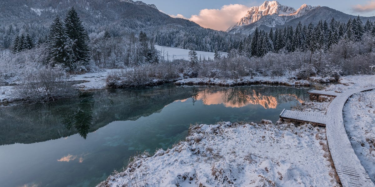 Be Courageous - by Dr. Sherri Tenpenny