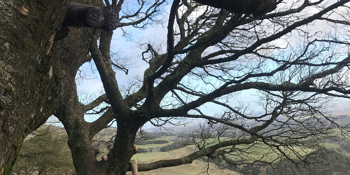 Learning to be - by Beth Morrow - Stories from Beth