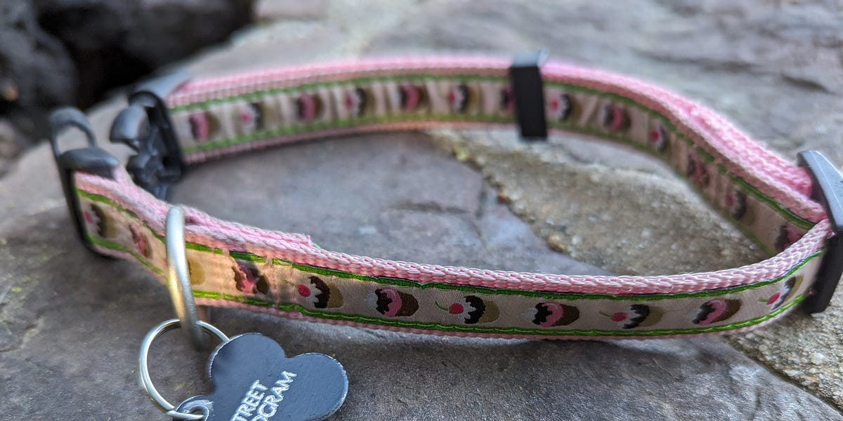 My Epic Foster Fail - by Paul Hefner