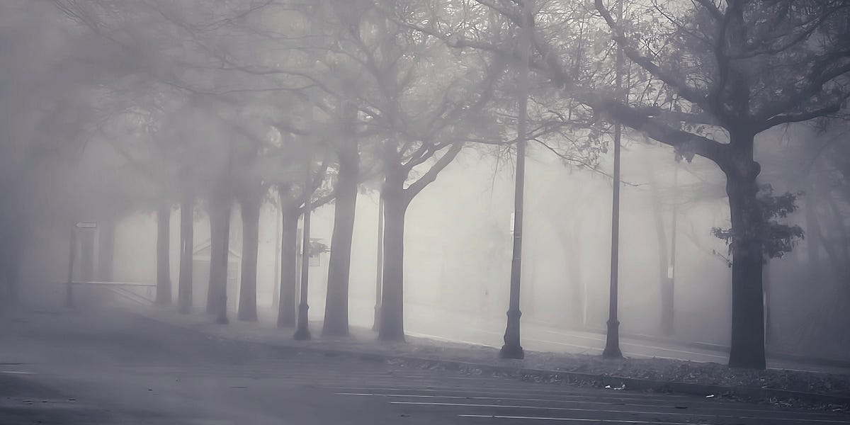 The World in Black and White - by Sheila Moeschen