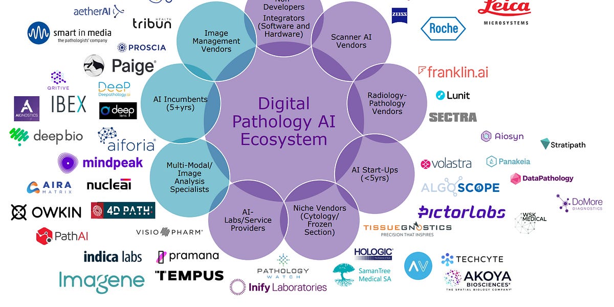 Beyond Diagnosis: Digital Pathology's Emerging Role in Drug Development