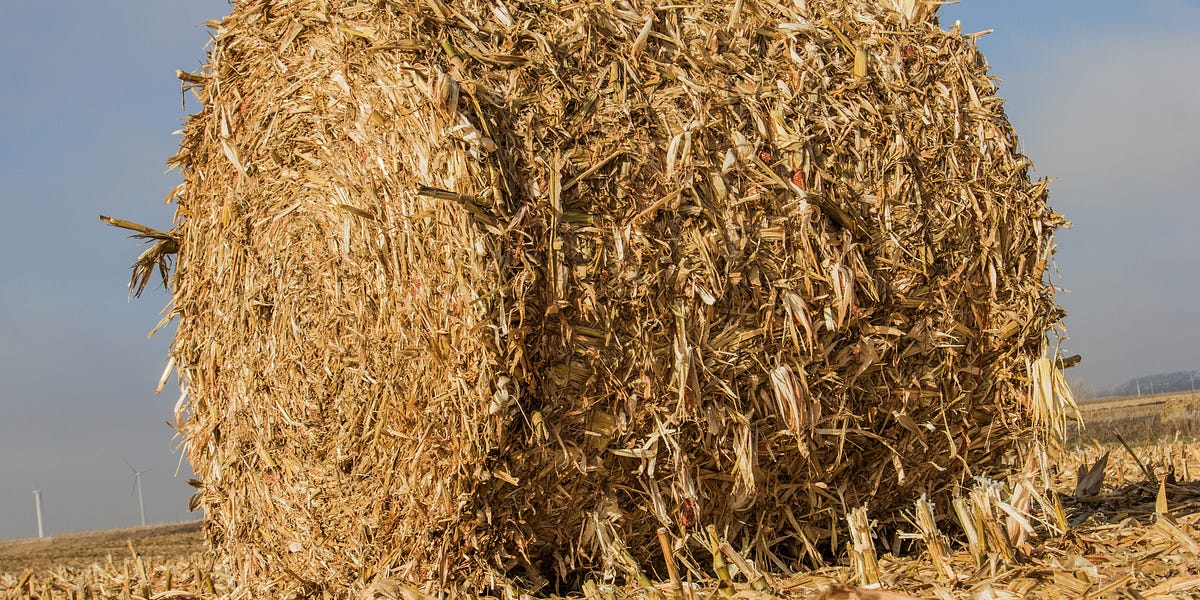 Save the Bales - environMENTAL