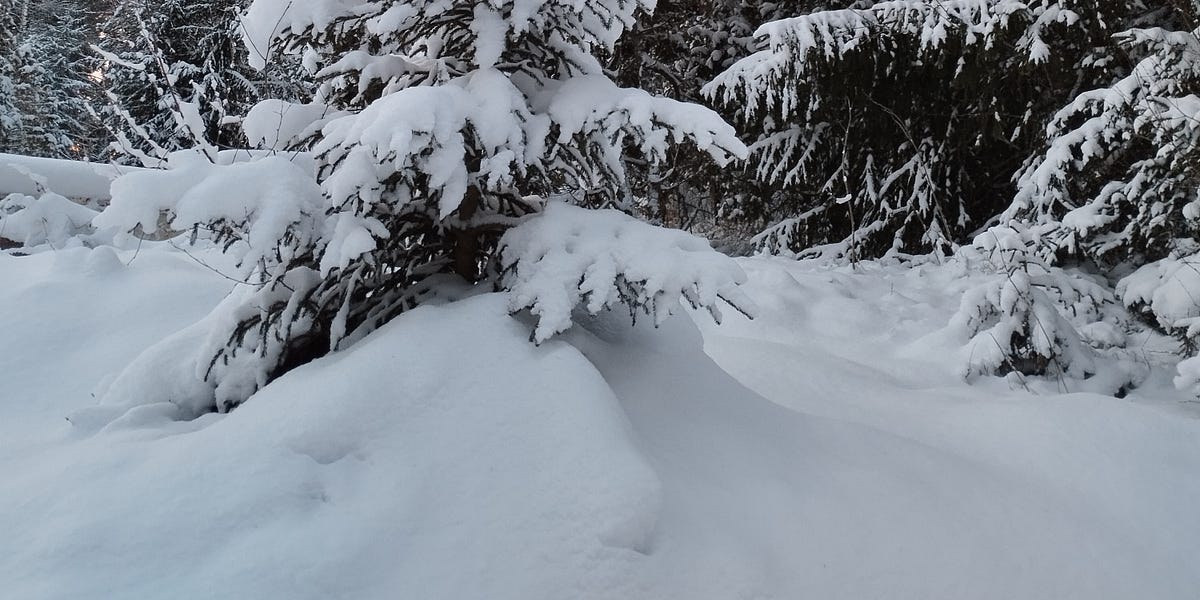 Receiving Peace - by Susannah Cragwick