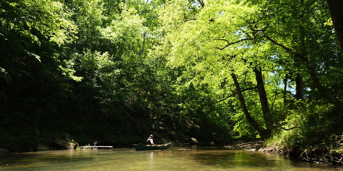 Ready, Set, — - by Halley Cotton - The Cahaba Project