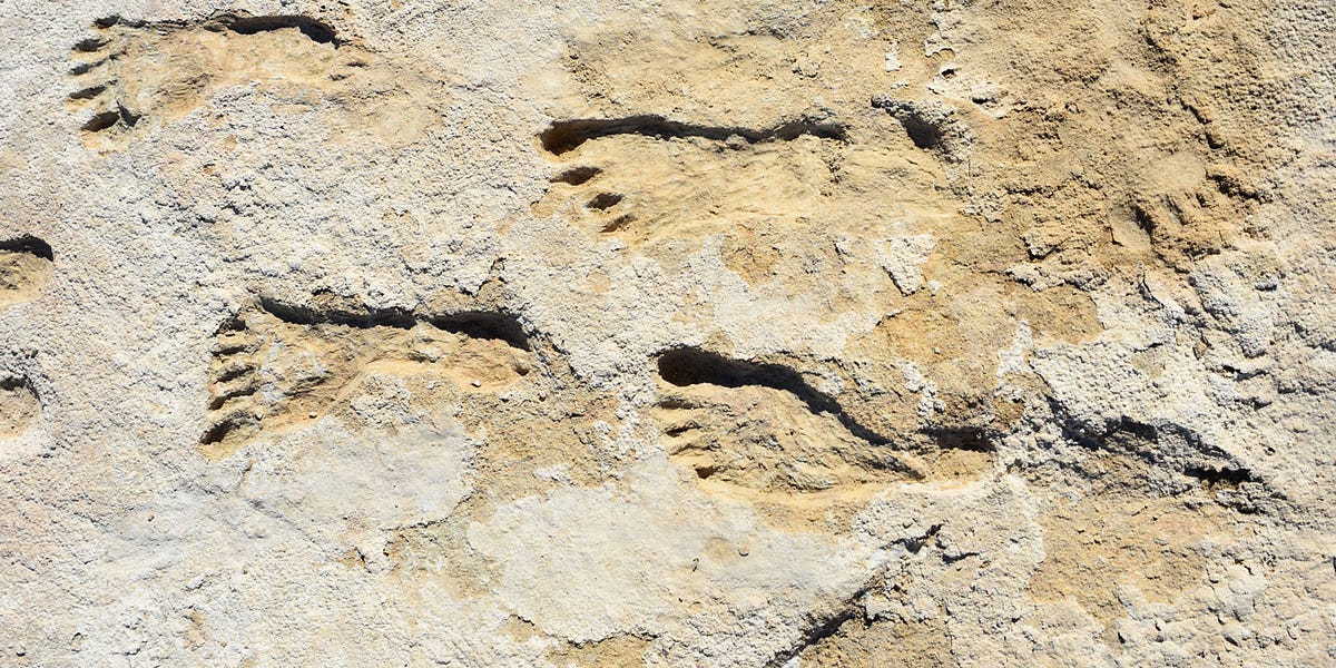 Footprints found in New Mexico suggest that humans may have arrived in ...