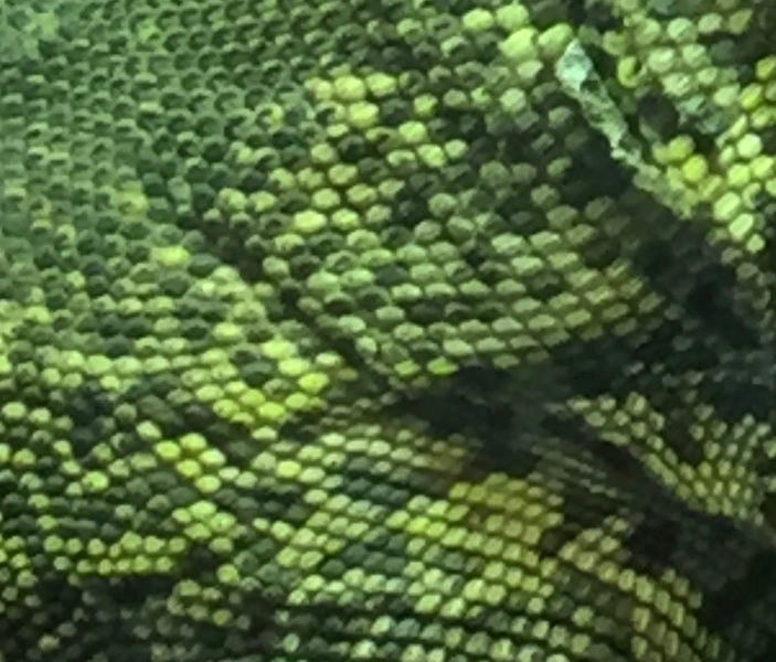 The Banishment - by Katharine Perry - Terrence’s Substack