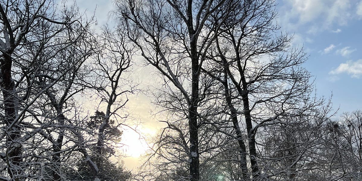 When to Give Up on Climate - by Prof. Kimberly Nicholas