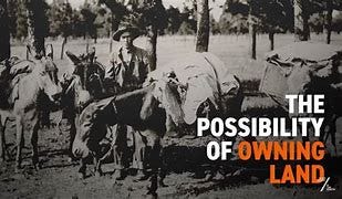 Sitting On the Toilet Stool For 40 Acres...and A Mule: A Poem