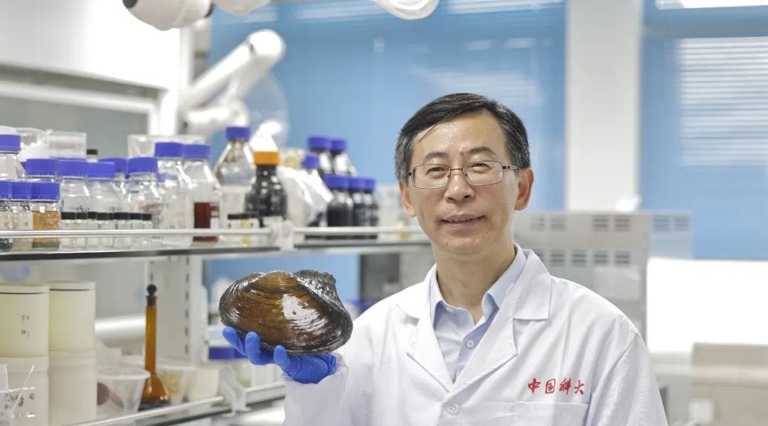 Beating Material Fatigue: the Inspiration from Nature